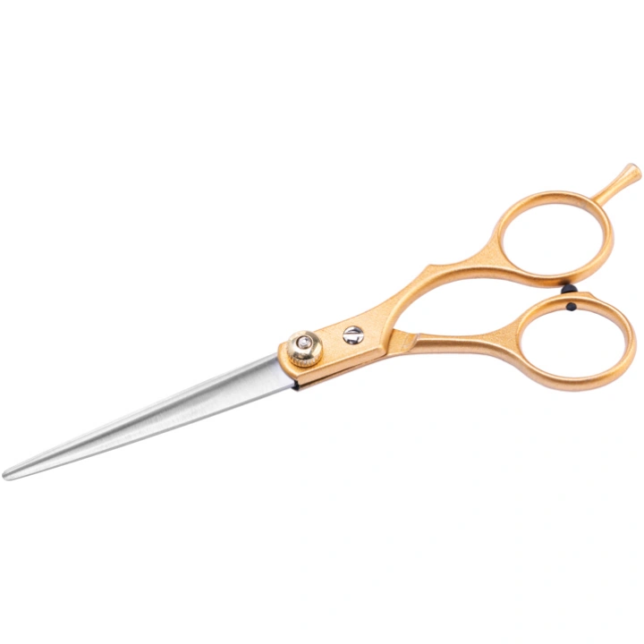 Hairdressing scissors | Salidzini.lv